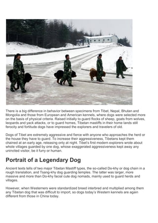 Ancient mystic or royal mastiff | PDF