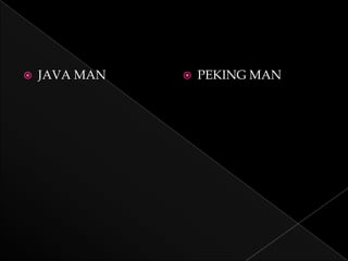 Ancient philippines | PPTX