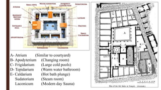 An architectural presentation on Ancient Roman Baths | PDF