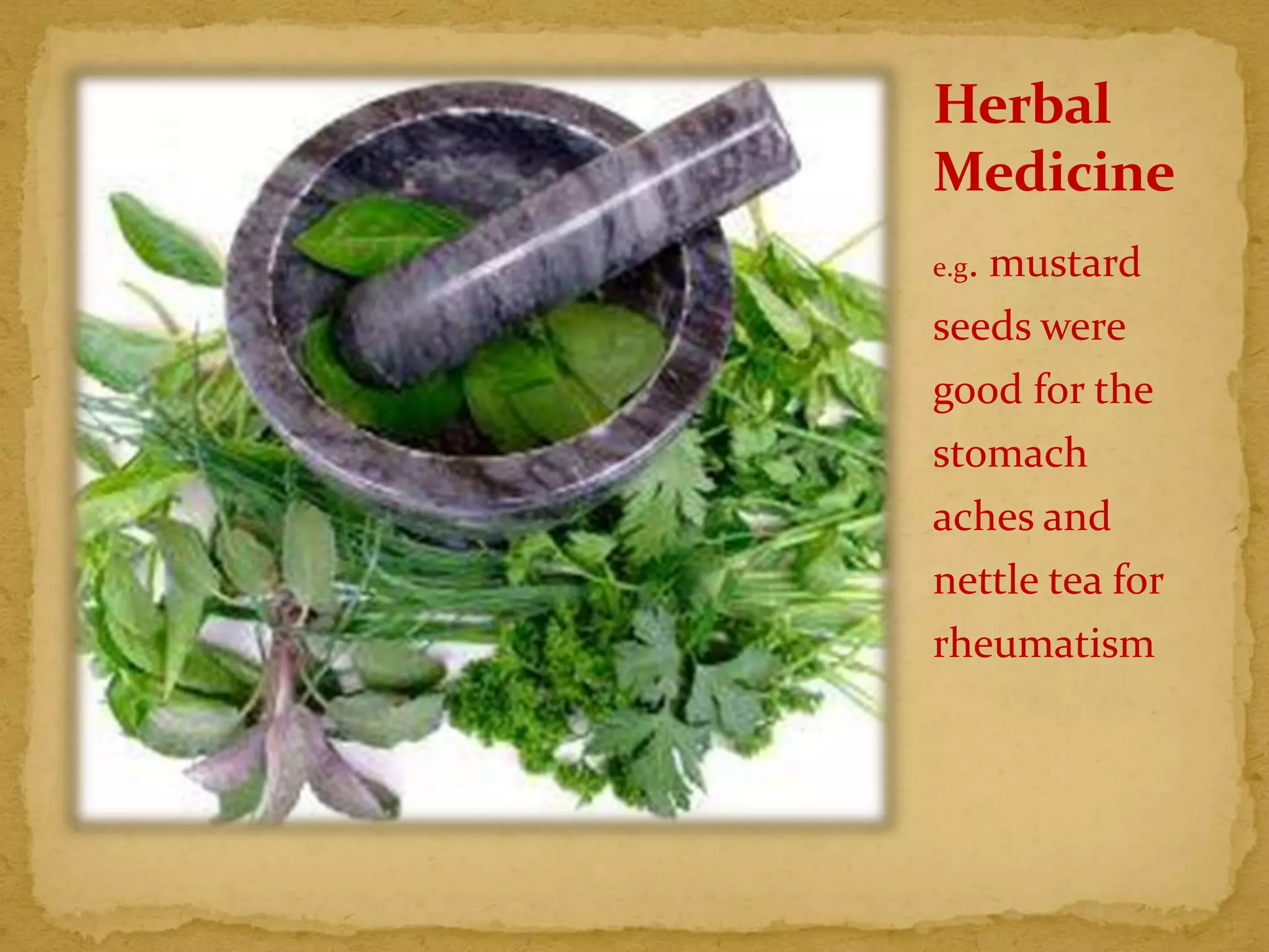 Ancient Roman Medicine Final | PPTX