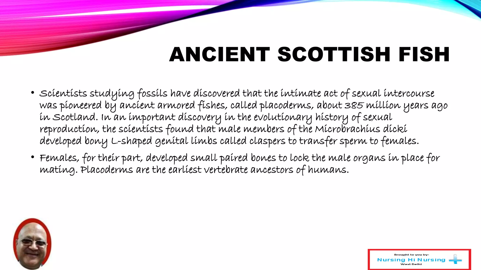 Ancient scottish fish | PPT