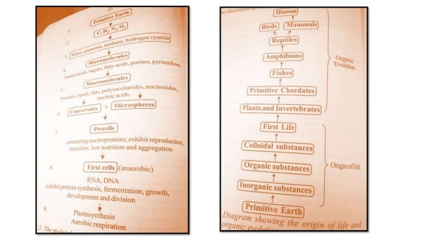 Ancient Theory, Abiogenesis , Biogenesis | PPTX | Biological Sciences ...