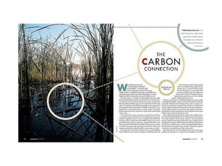 Ancillary forms & conventions | PPTX