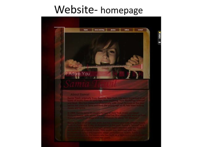 Ancillary powerpoint | PPTX