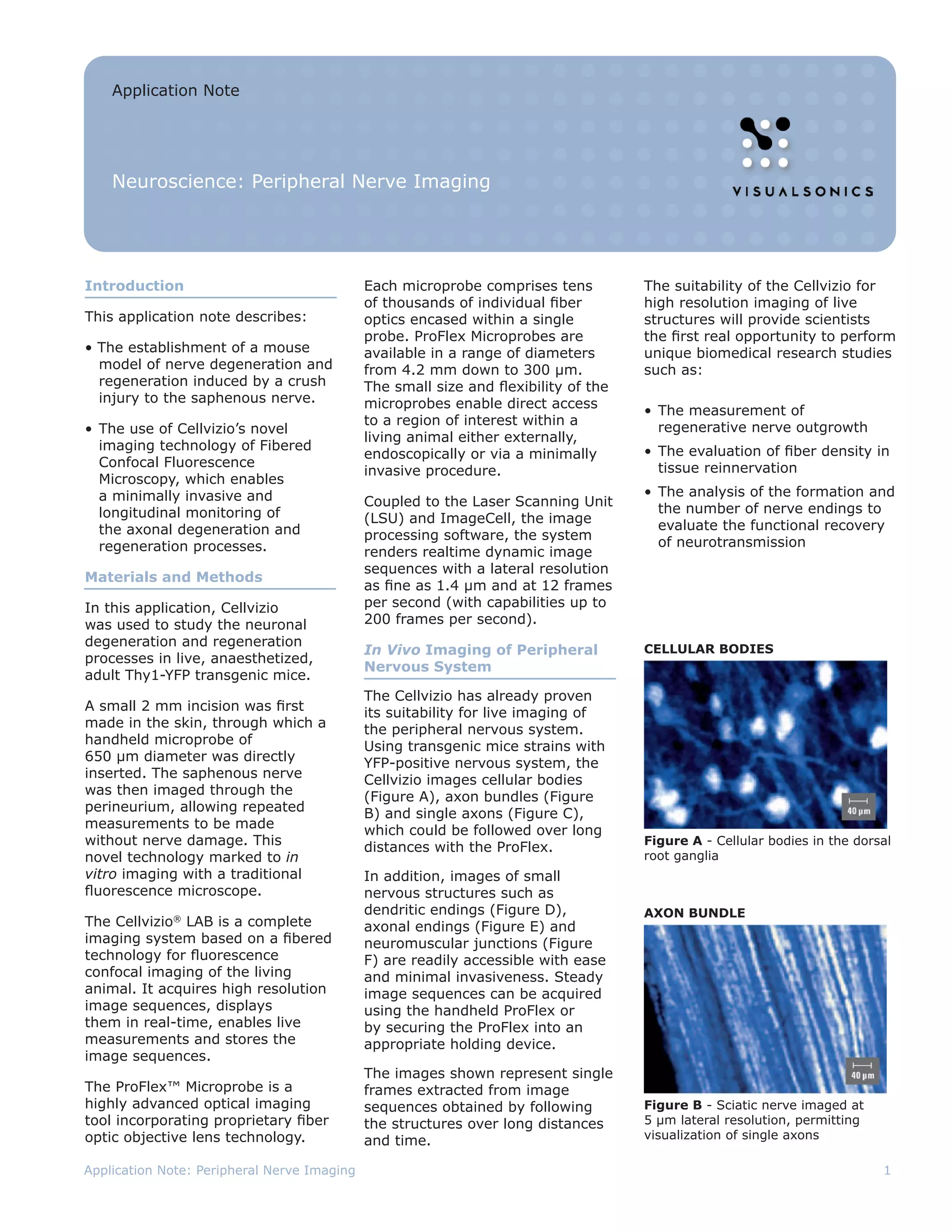 Application Note - Neuroscience: Peripheral Nerve Imaging | PDF