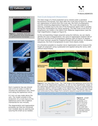 Application Note - Neuroscience: Peripheral Nerve Imaging | PDF