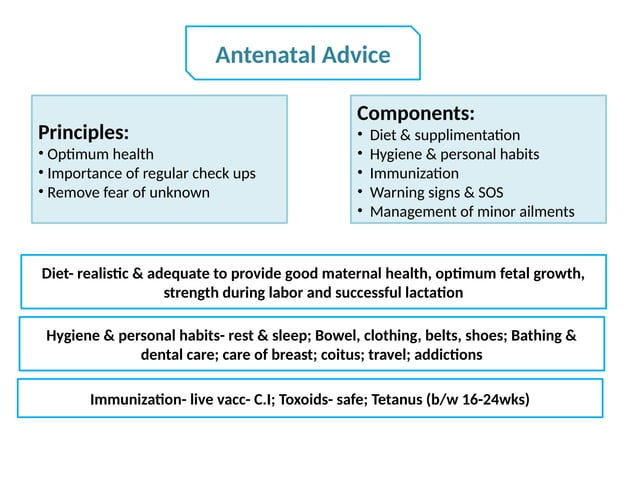 Guide to Antenatal care in obstetrics for undergraduates | PPTX