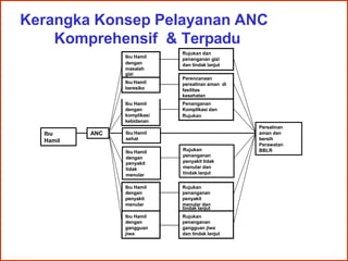 ANC TERPADU.pptx