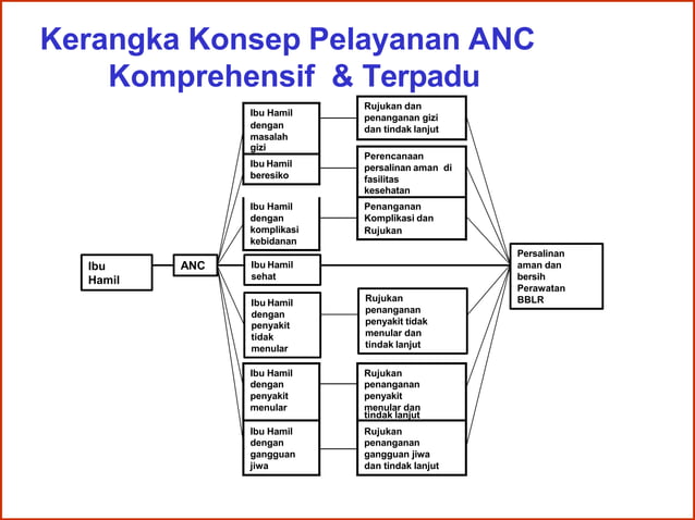 ANC TERPADU.pptx