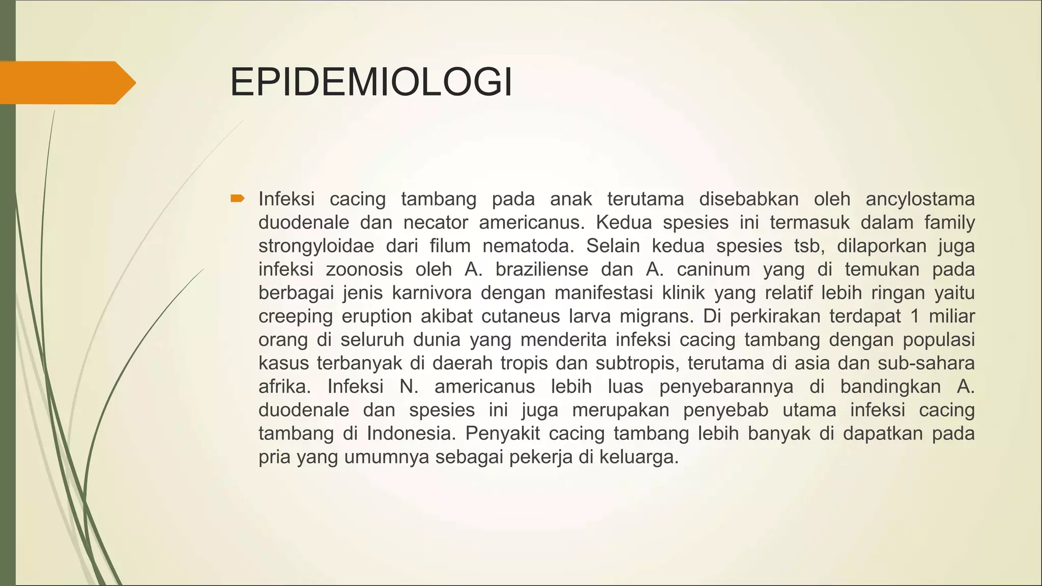ancylostama duodenale .ppt