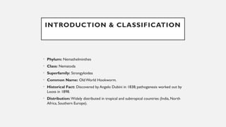 Comprehensive Overview of Ancylostoma Duodenale: Lifecycle ...