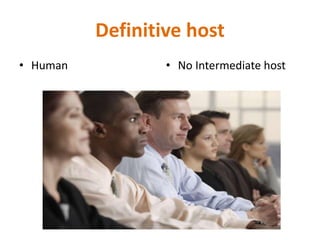 Ancylostoma duodenale | PPTX