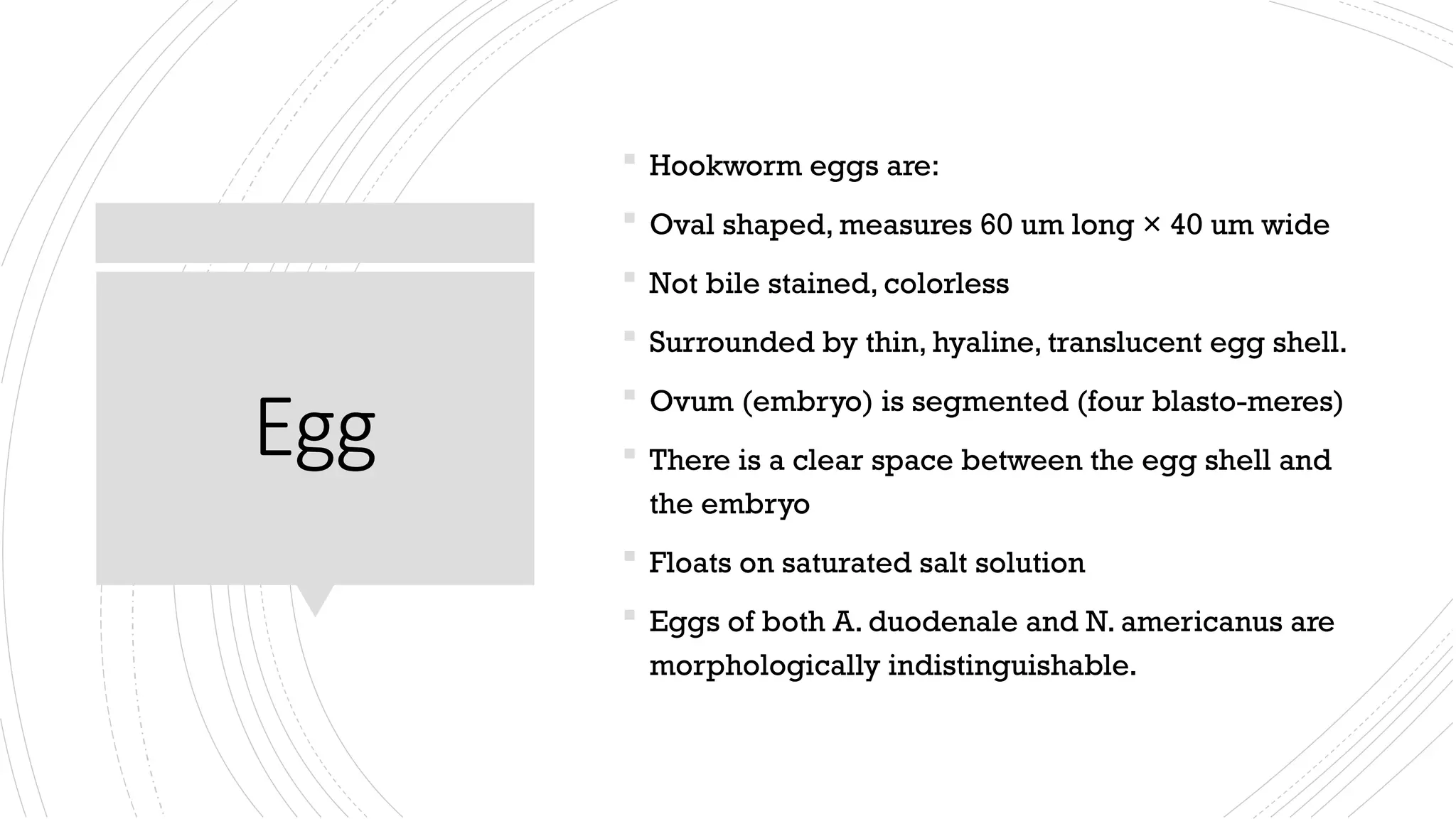 Ancylostoma Duodenale.pptx pathogenesis. | PPTX