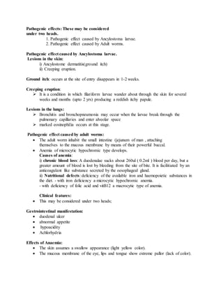 Ancylostoma duodenale1 | DOCX