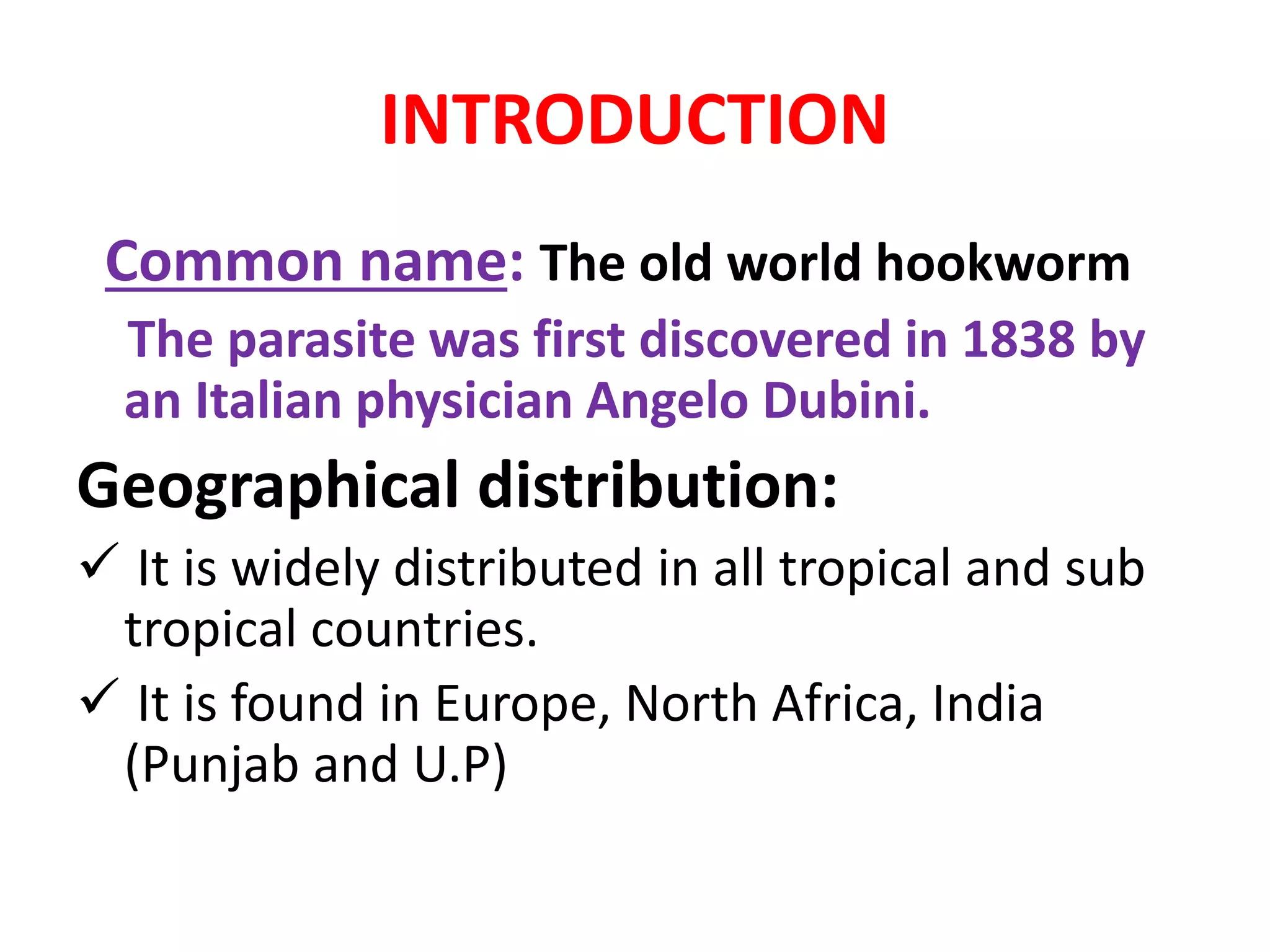 Ancylostoma duodenale (hookwormi)2018 | PPTX