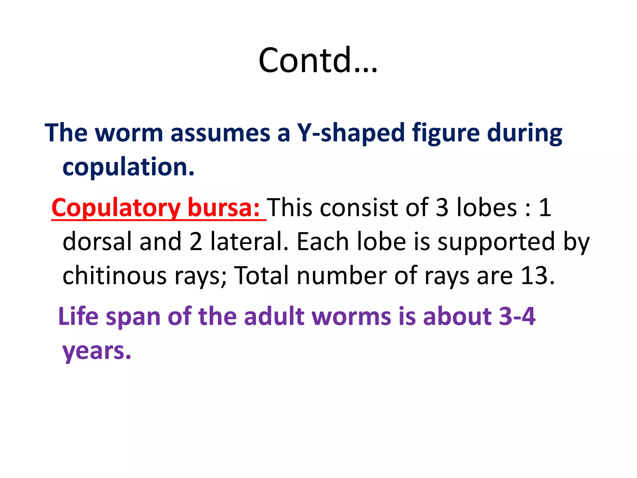 Ancylostoma duodenale (hookwormi)2018 | PPTX