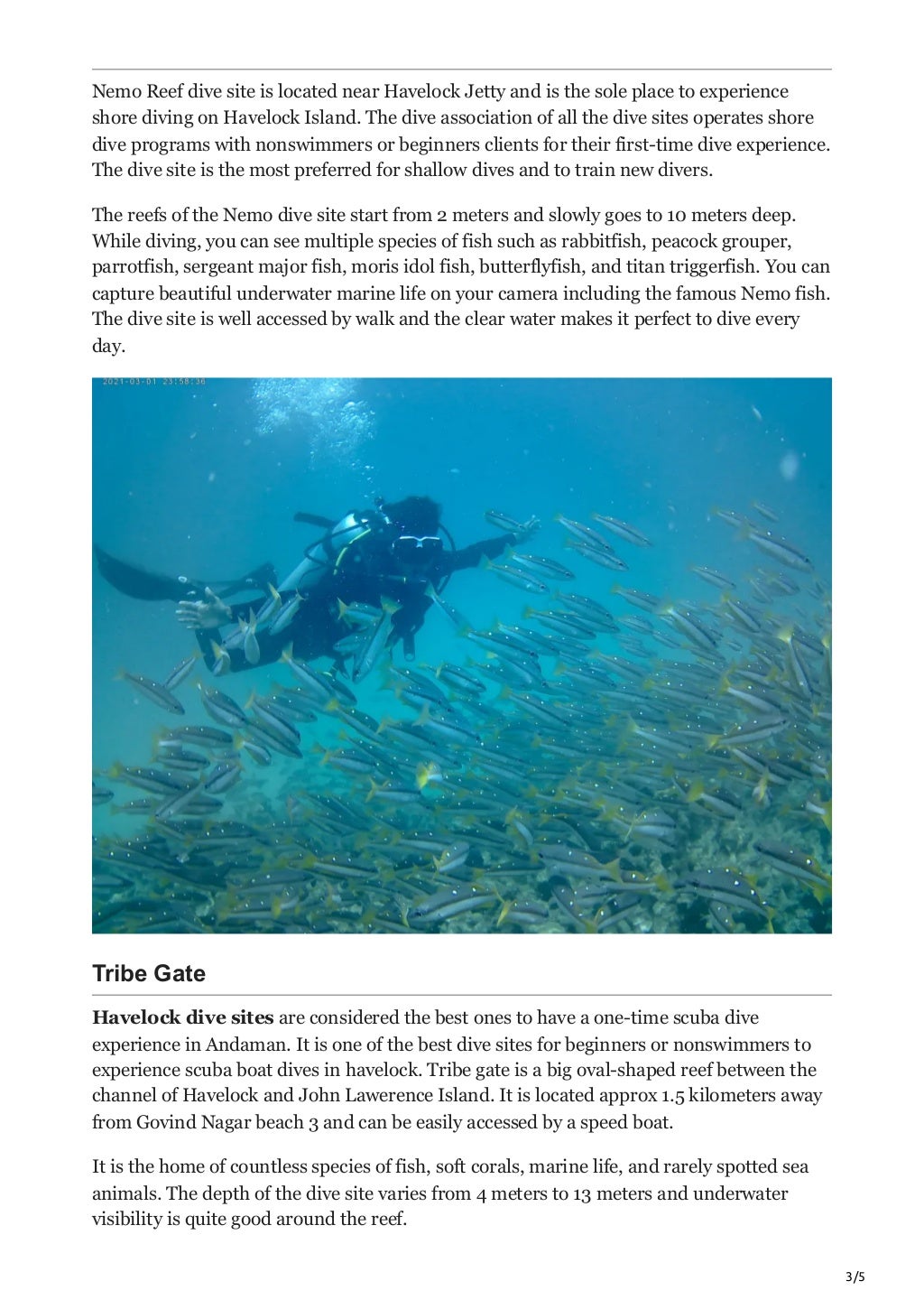 Trustworthy and the best dive sites in the Andaman Islands | PDF