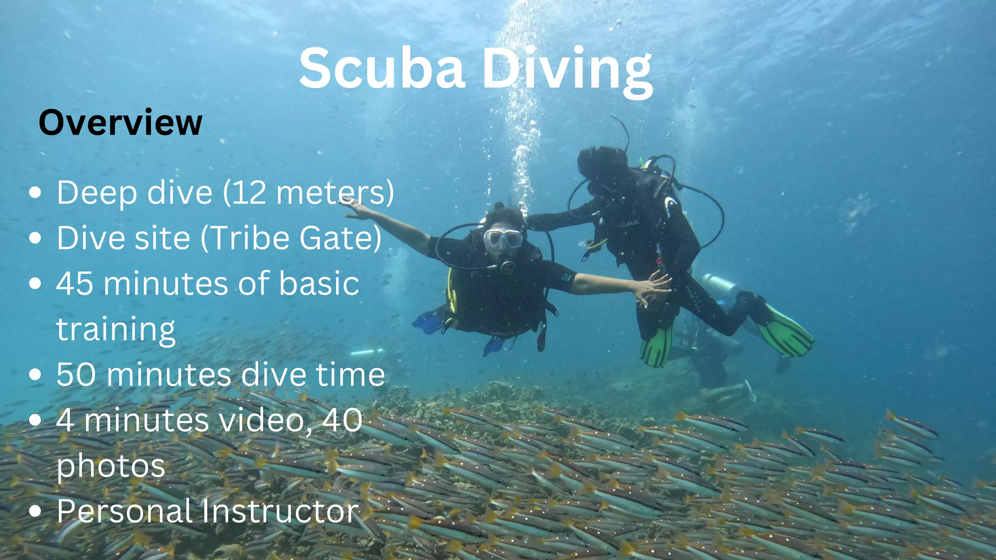 Experience the best Island hopping in the Andaman Islands | PDF