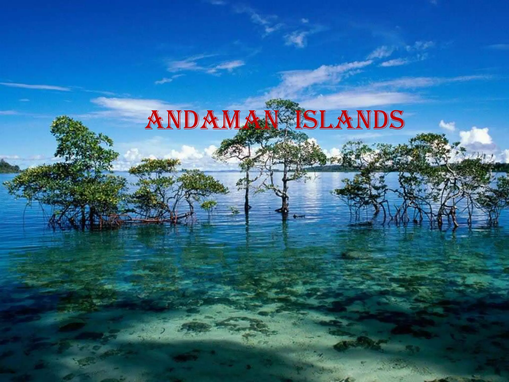 Andaman islands | PPSX