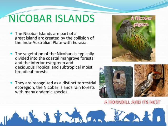 Andaman & nicobar island | PPTX | Asia Travel | Travel Locations