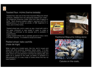 Andean Designs Mapuche investigación 2012 2013 | PDF | South America ...