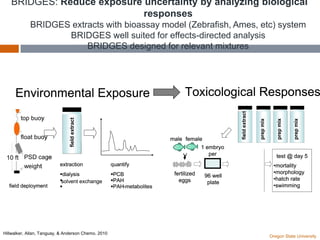 Response options: Biological Response Indicator Devices for Gauging ...