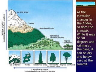 Andes Mts | PPT