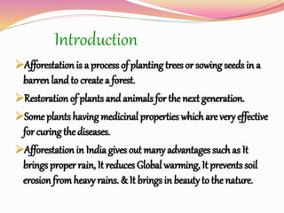 A n d forestry | PPTX