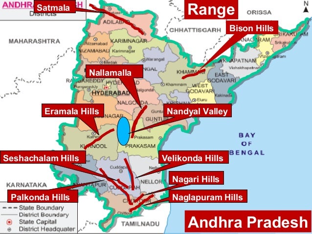 Andhra pradesh special