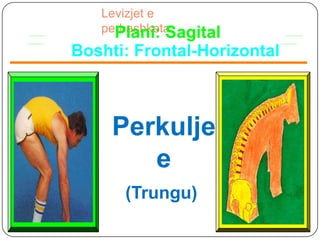 Biomekanika | PPTX