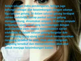 Andini 92 | PPT