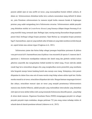 ANDI RAFIKA-SCHISTOSOMIASIS (cara penularan).docx