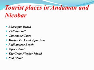 Andman Nicobar Island. | PPTX