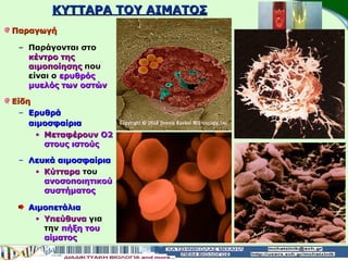 ΕΣΩΤΕΡΙΚΟΣ ΜΗ ΕΙΔΙΚΟΣ ΜΗΧΑΝΙΣΜΟΣ ΑΜΥΝΑΣ ΦΑΓΟΚΥΤΤΑΡΩΣΗ ΔΙΑΔΙΚΤΥΑΚΗ ...