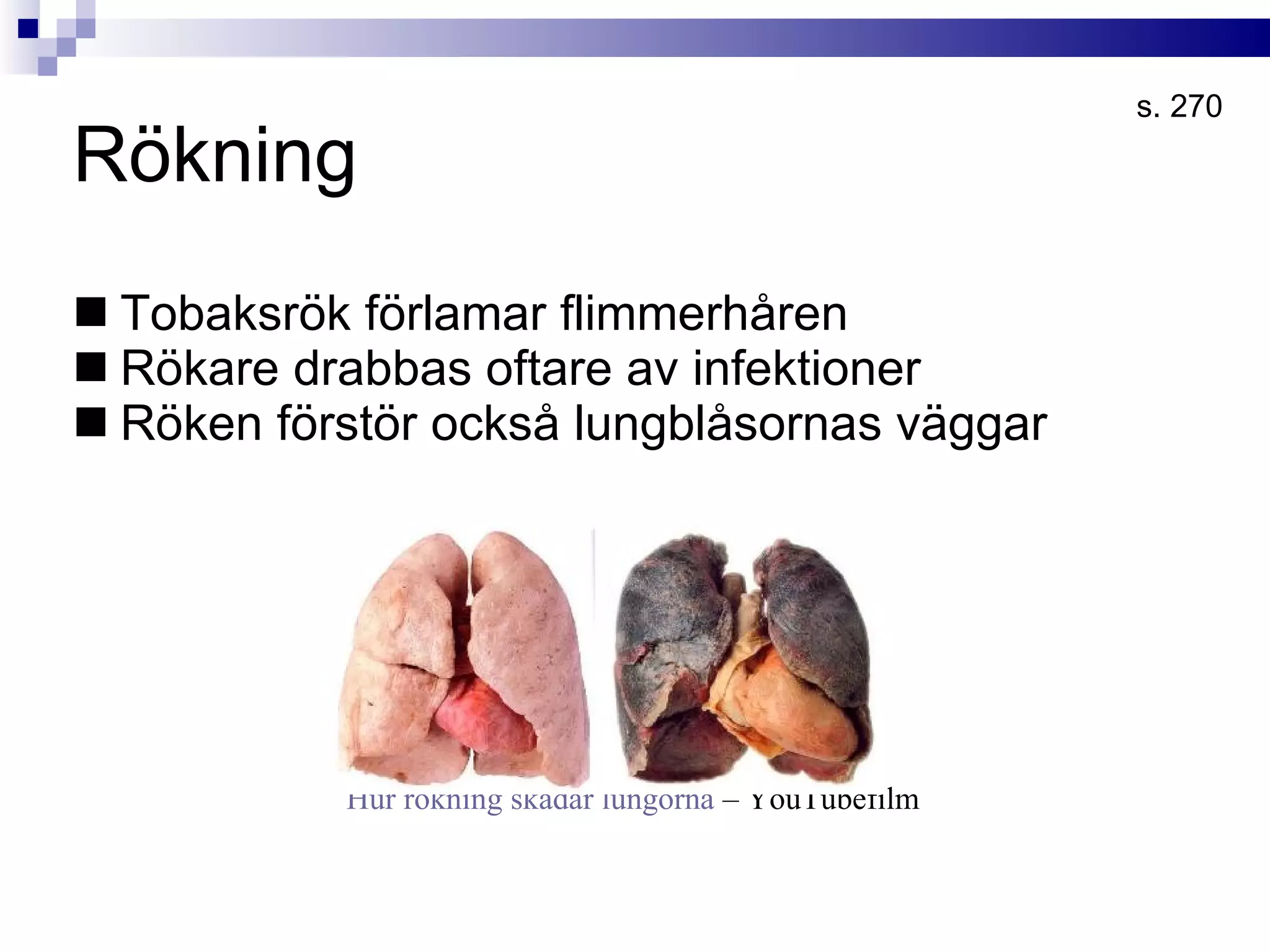 Andningen | PPT