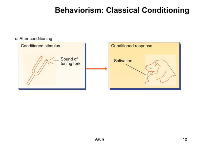 Andragogical Approach to Learning And Training Processes | PPT