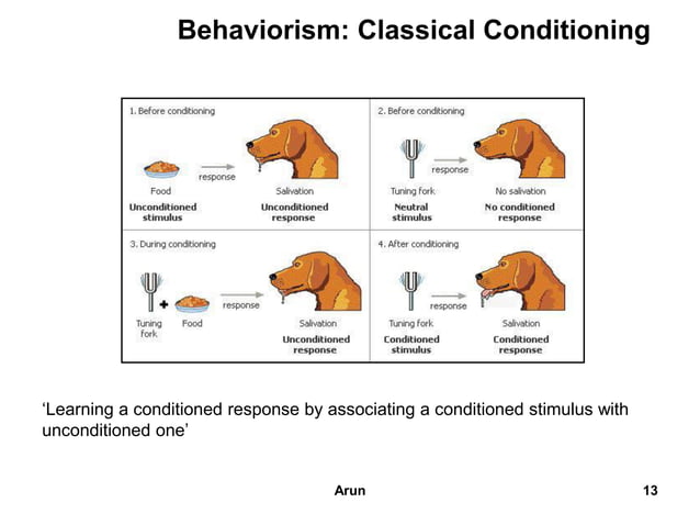 Andragogical Approach to Learning And Training Processes | PPT