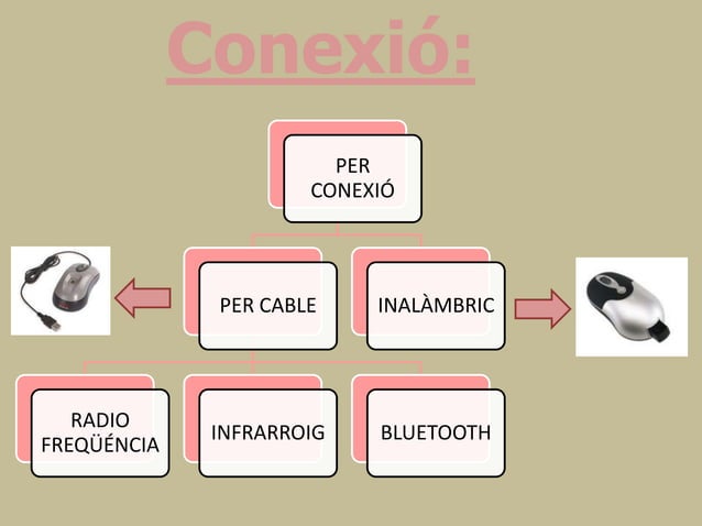el ratoli o mouse | PPTX