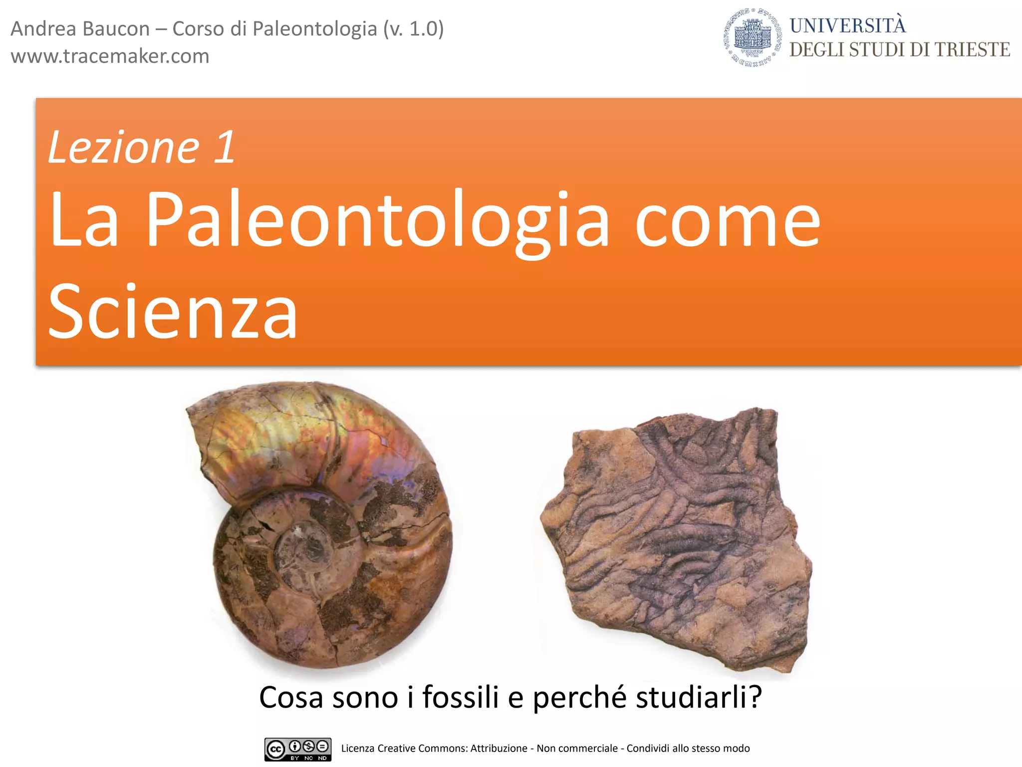 La paleontologia come scienza | PDF