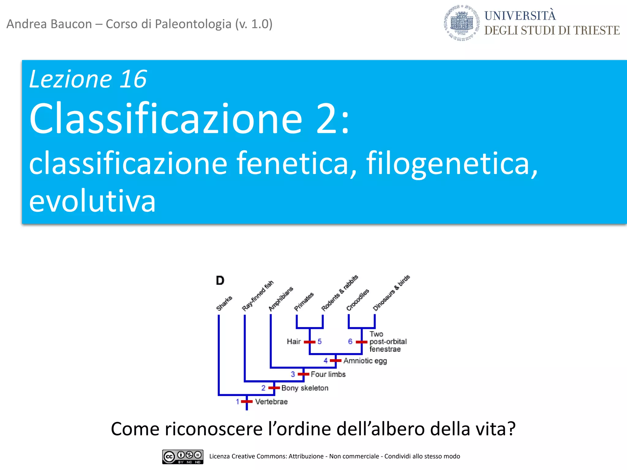 Classificazione 2 (classificazione fenetica, filogenetica, evolutiva) | PDF