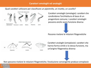 Classificazione 2 (classificazione fenetica, filogenetica, evolutiva) | PDF