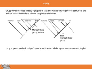Classificazione 2 (classificazione fenetica, filogenetica, evolutiva) | PDF