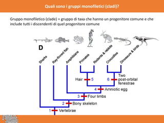 Classificazione 2 (classificazione fenetica, filogenetica, evolutiva) | PDF