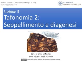 Tafonomia 2: seppellimento e diagenesi | PDF