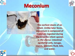 Gastrointestinal Tract Diseases | PPTX | Digestive Disorders | Diseases ...