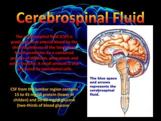 neuronal diseases | PPT