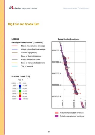 Andrea GNCP HPAL.pdf
