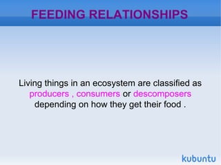 Andrea Becerra, Marta y Paula Martín | PPT