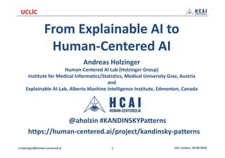 Explainable AI talk at UCLIC University College London, UK | PPT
