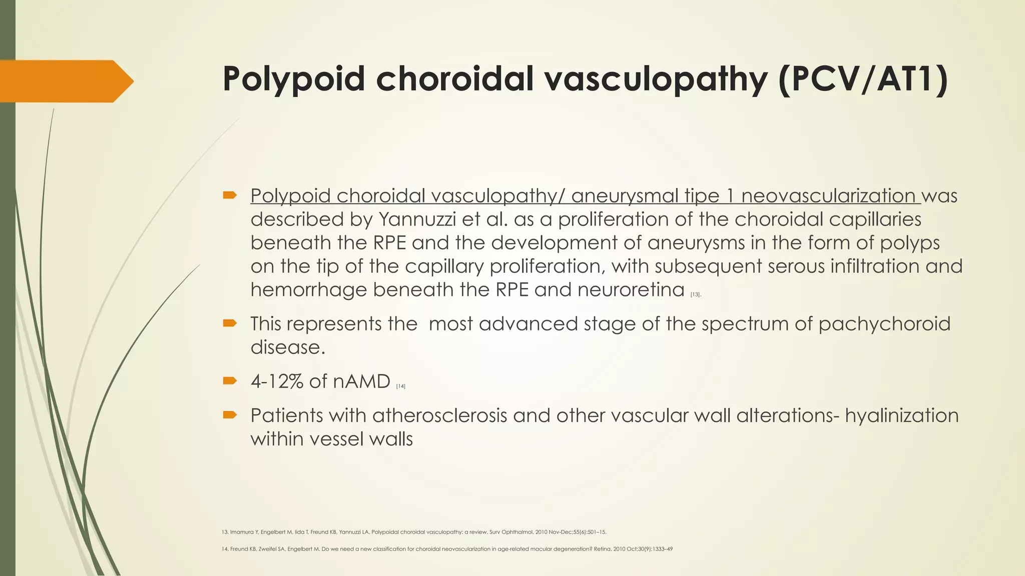 Andreea moraru pachychoroid spectrum of diseases | PDF